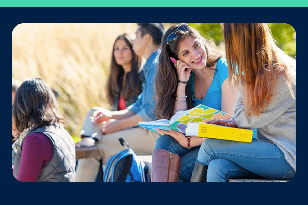 Monthly Professional Development Newsletter | UBC PDCE